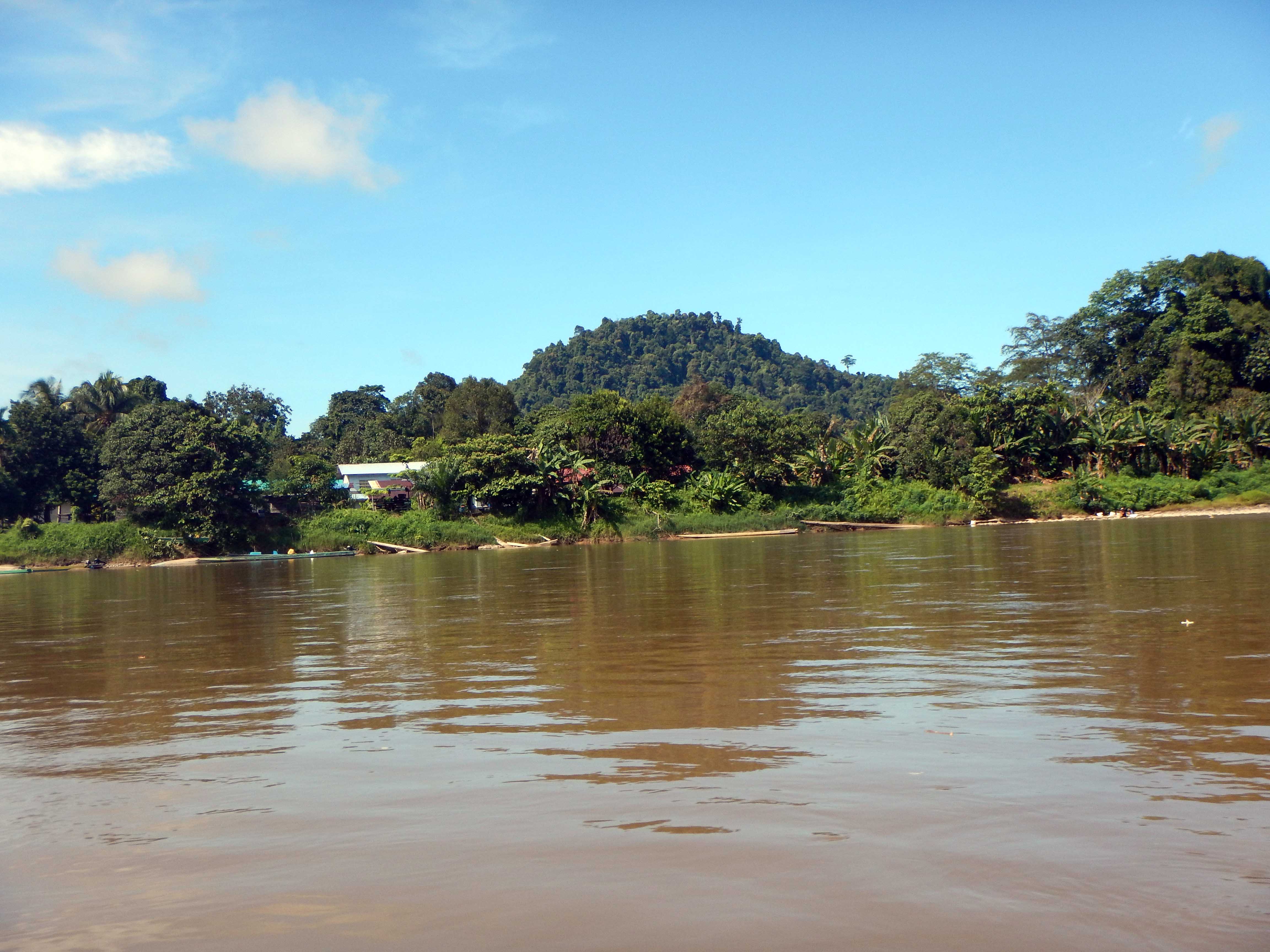 Mulu Longhouse Village Homestay and Adventure Guide – Monkey's Tale
