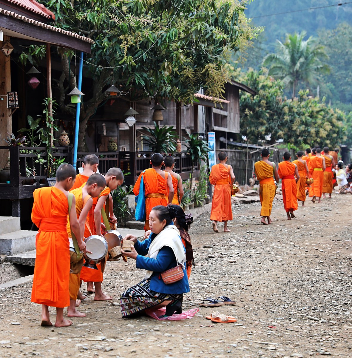 Laos – Monkey's Tale