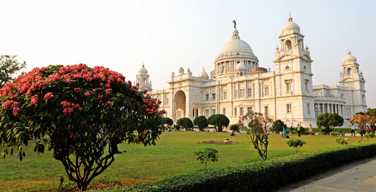 Oh Calcutta & Konark’s Sun Temple – Monkey's Tale