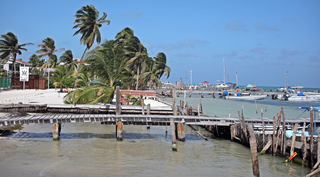 Caribbean Cayes in Belize – Monkey's Tale