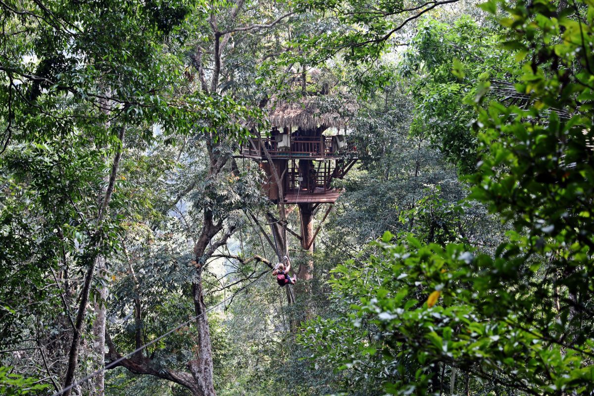 A Treehouse Adventure in Laos – Monkey's Tale