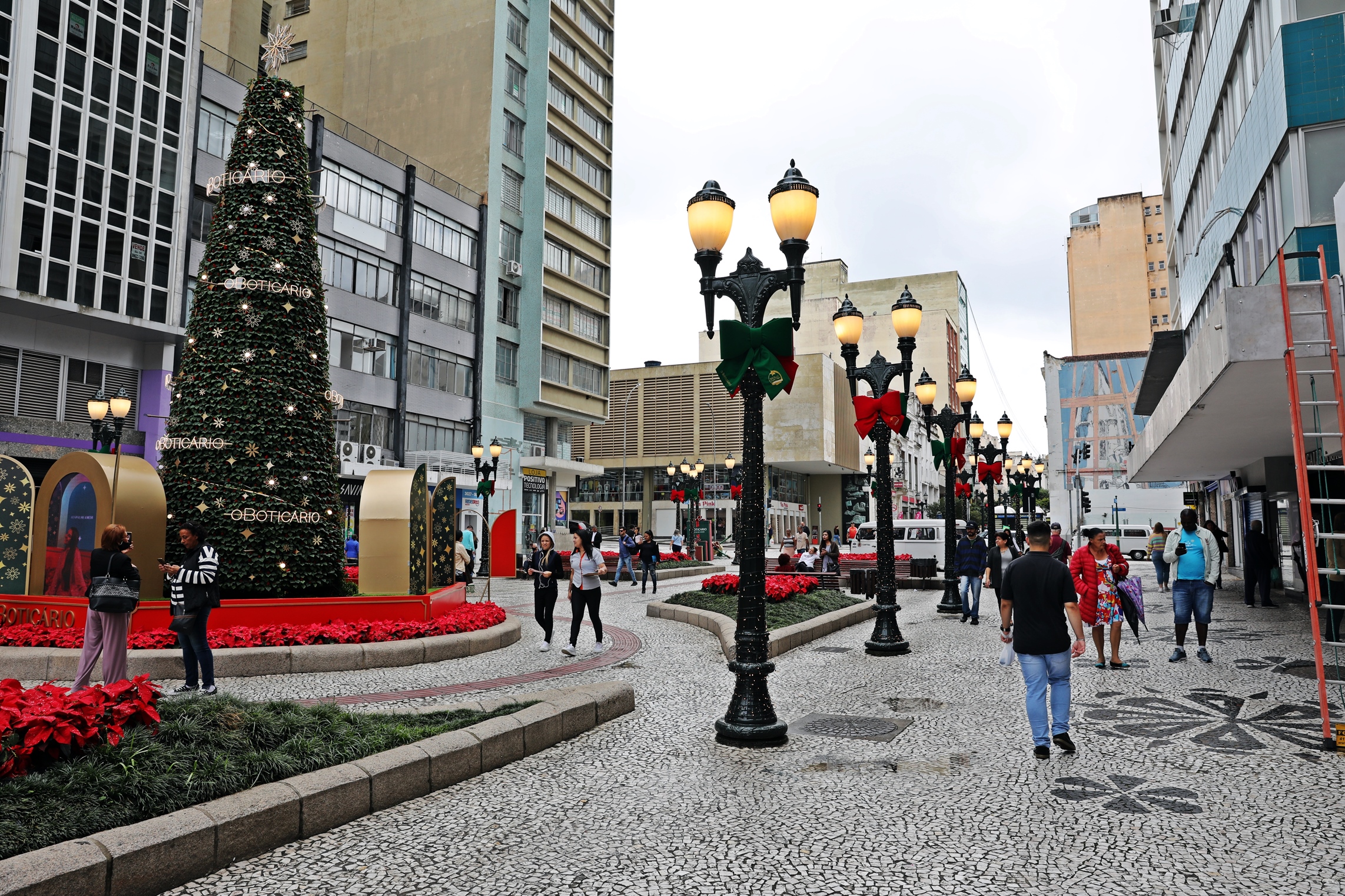 A Day In Curitiba – Monkey's Tale