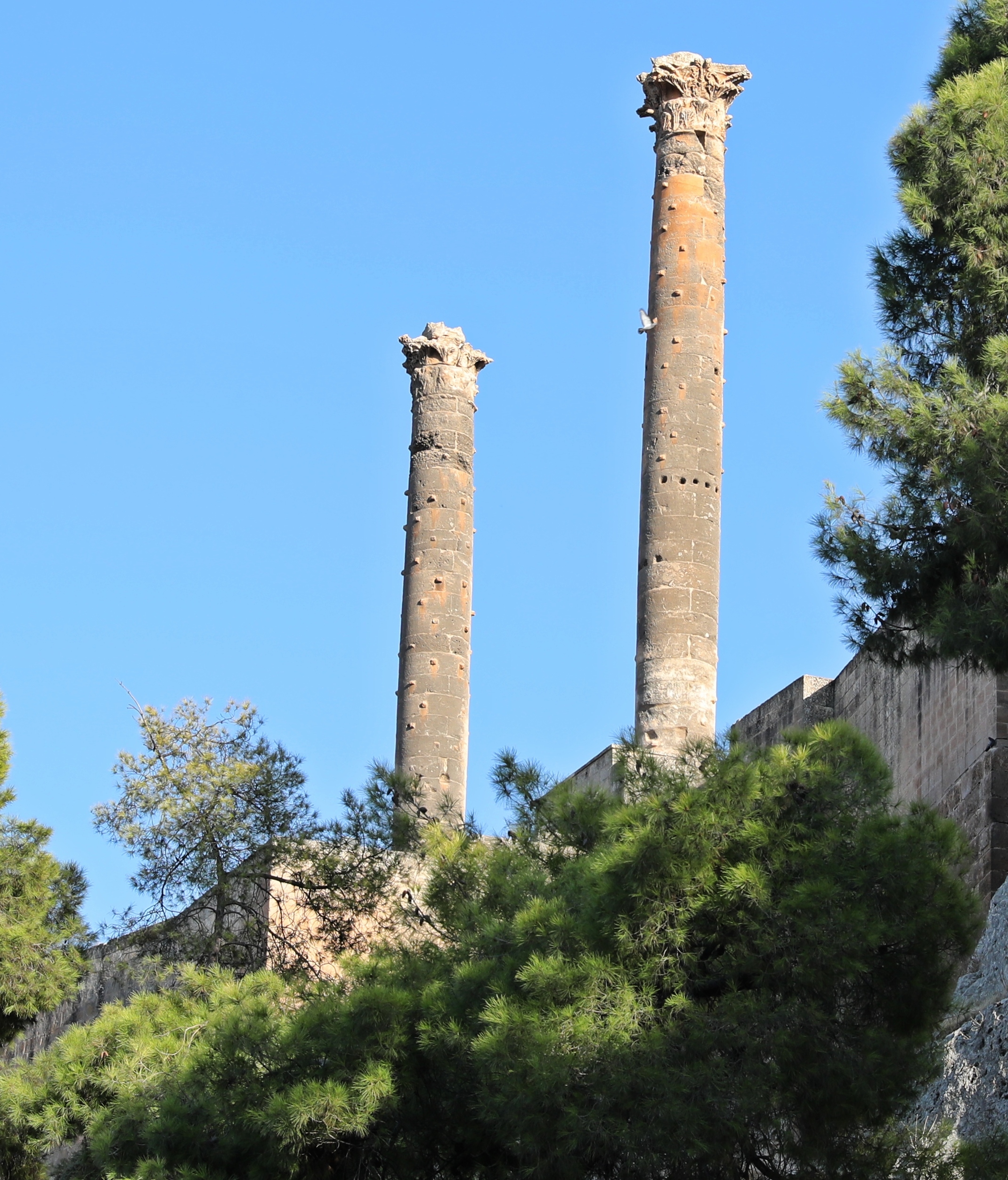 Göbekli Tepe – An Ancient Wonder – Monkey's Tale