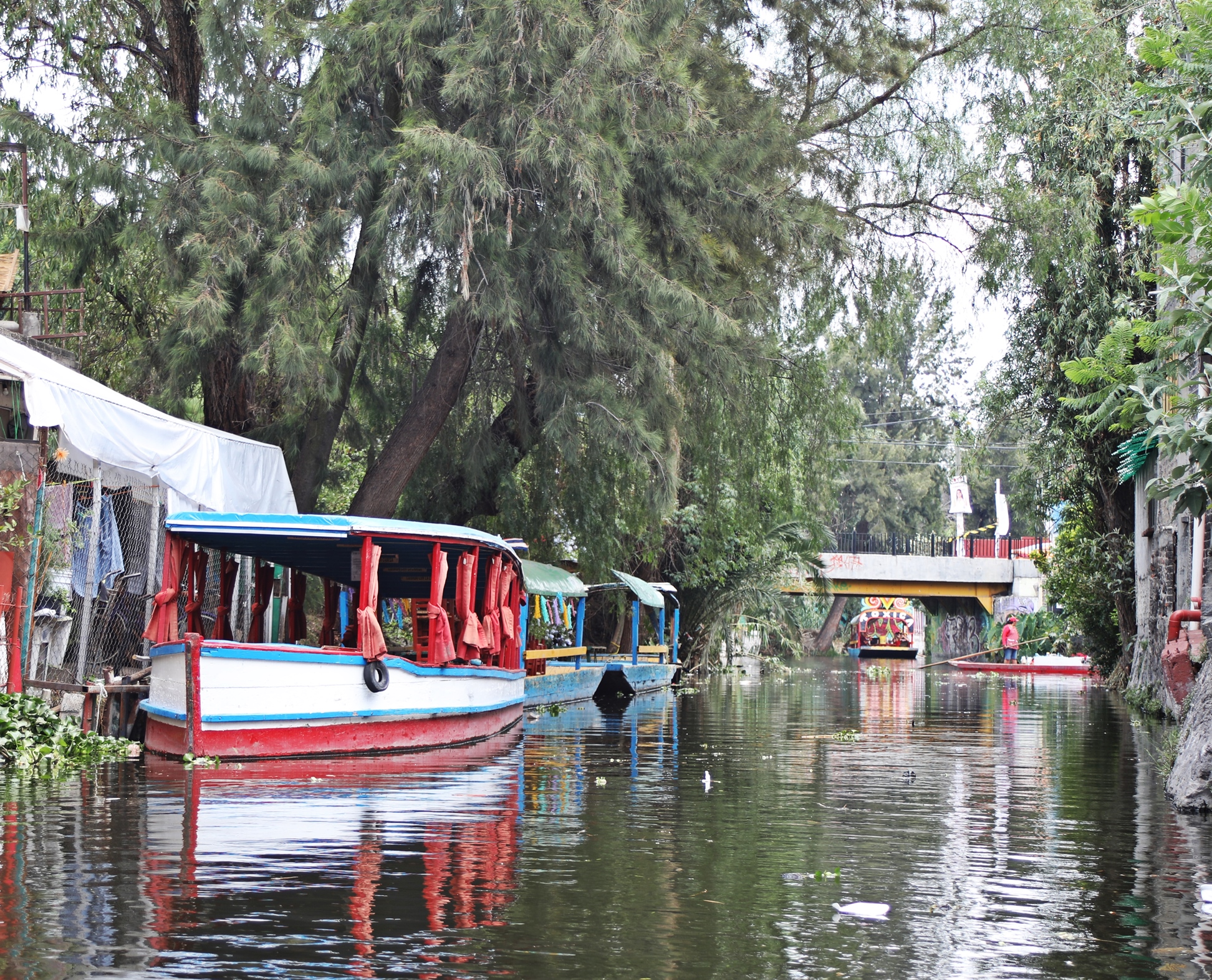 A Boat Tour In Xochimilco – Monkey's Tale
