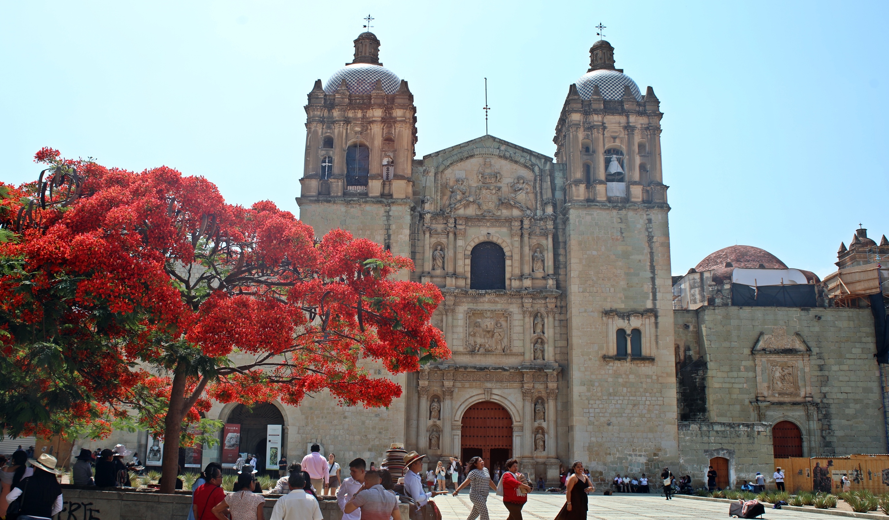 Experience History In Oaxaca – Monkey's Tale