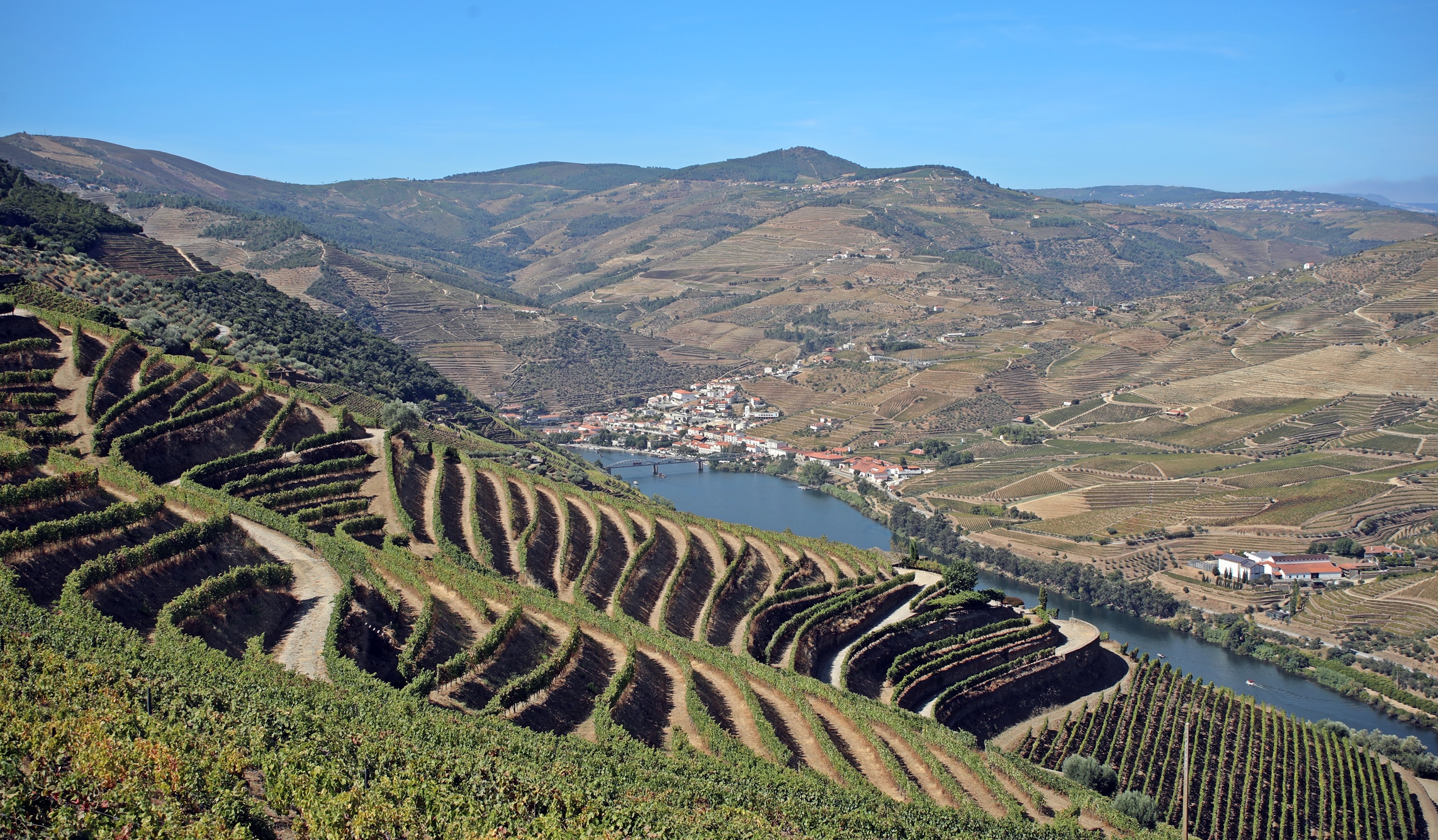 Best Places To Visit in Portugal – Monkey's Tale