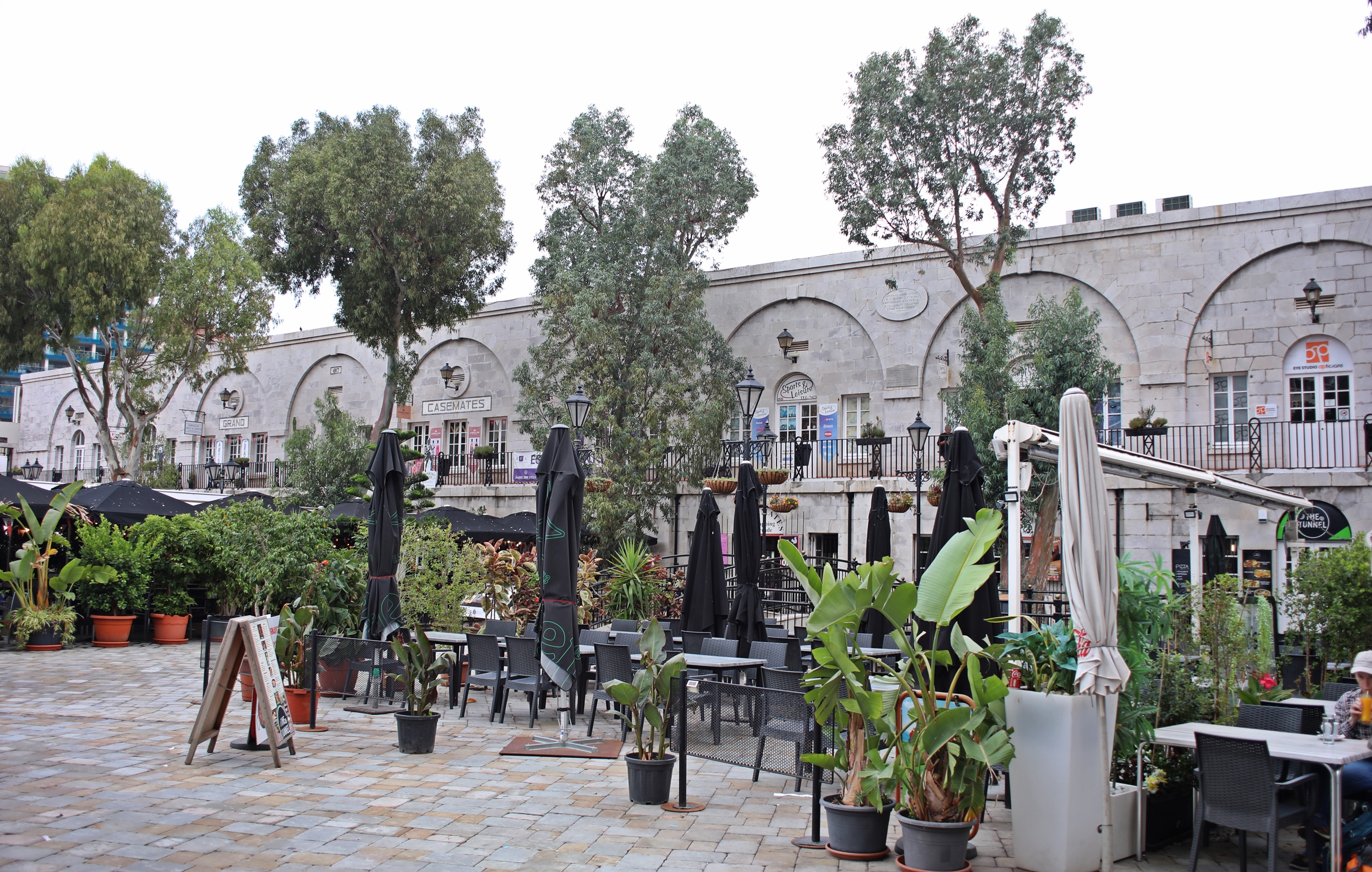 A Visitor’s Guide To Gibraltar – Monkey's Tale