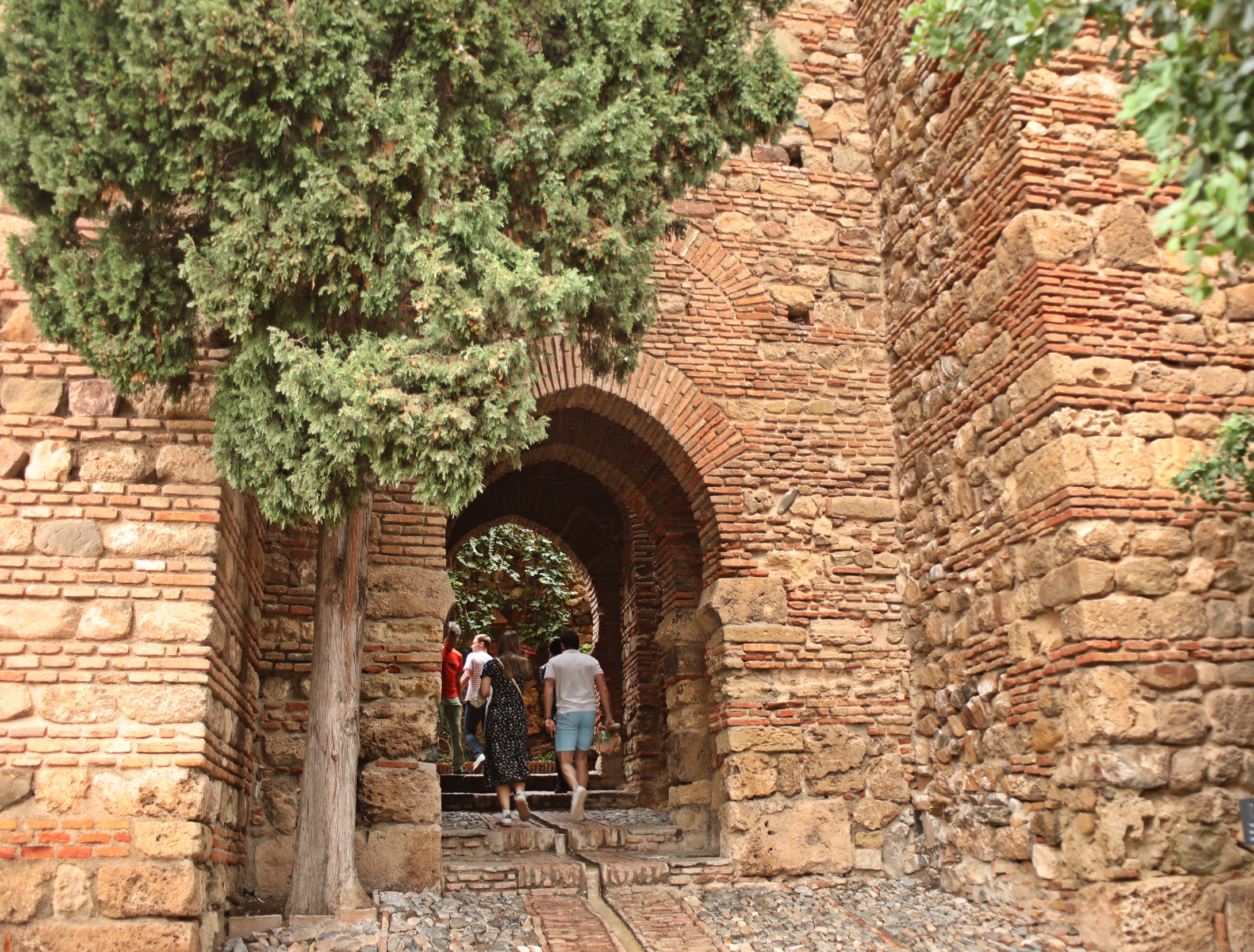 Explore Historic Málaga – Monkey's Tale