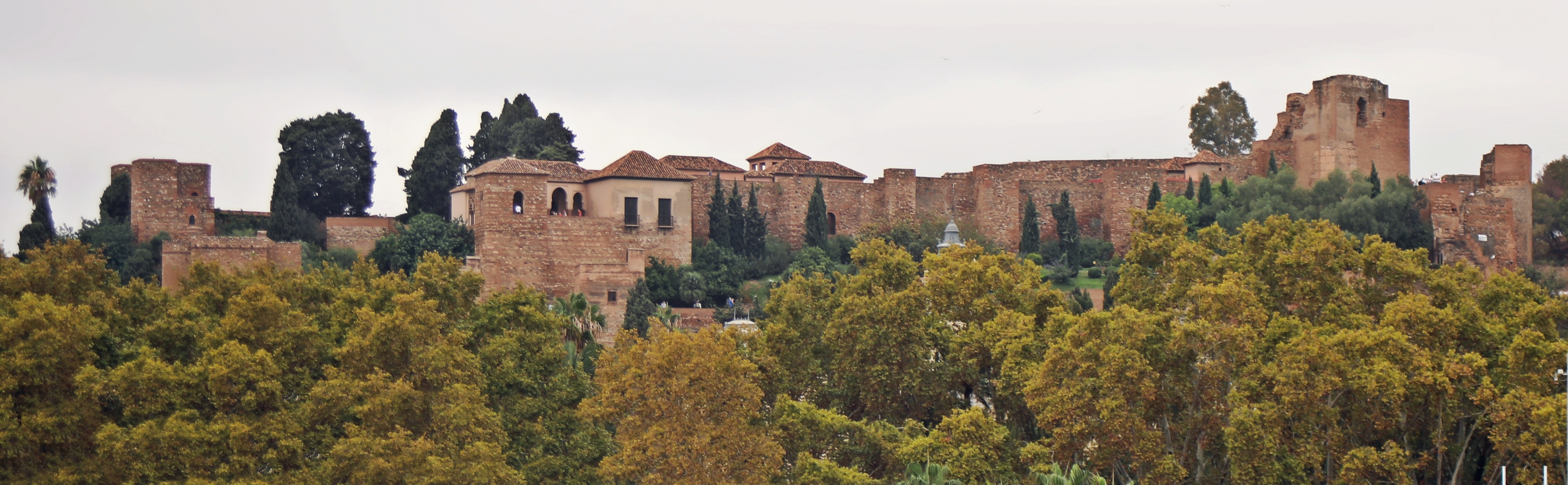 Explore Historic Málaga – Monkey's Tale