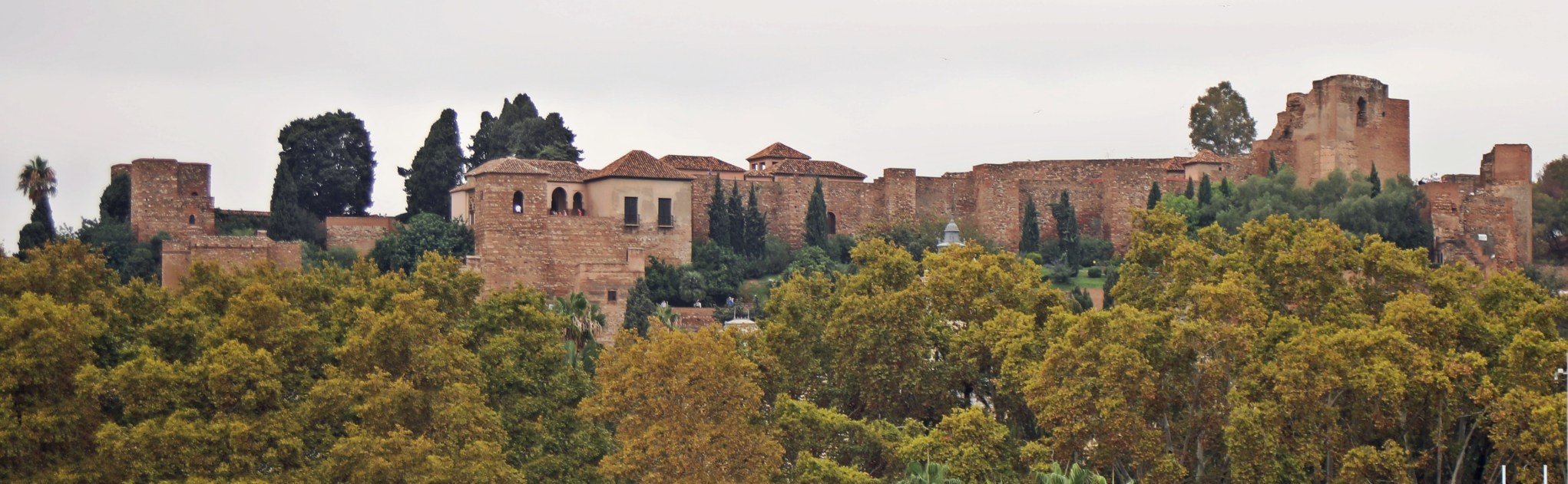 Explore Historic Málaga – Monkey's Tale